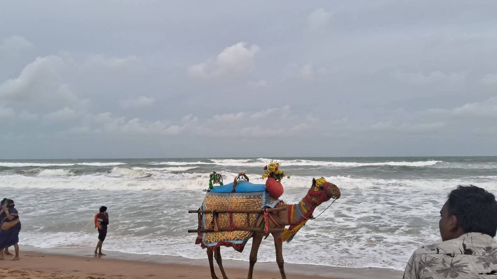 Puri Beach: Location, Best Time to Visit, Entry Fees & Things to do