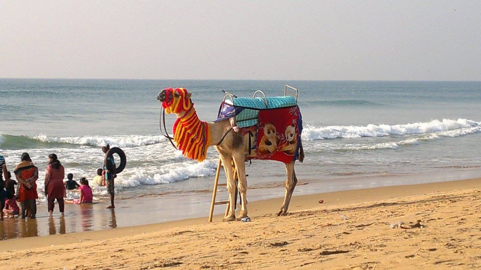 Puri Beach: Location, Best Time to Visit, Entry Fees & Things to do